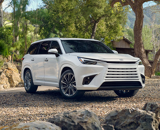 Lexus Financial | Lexus Financial